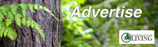 Advertising - Texas Forest Country Living
