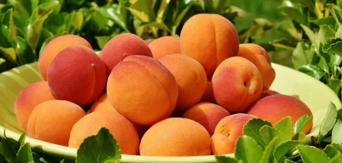 Growing Peaches - Texas Forest Country Living