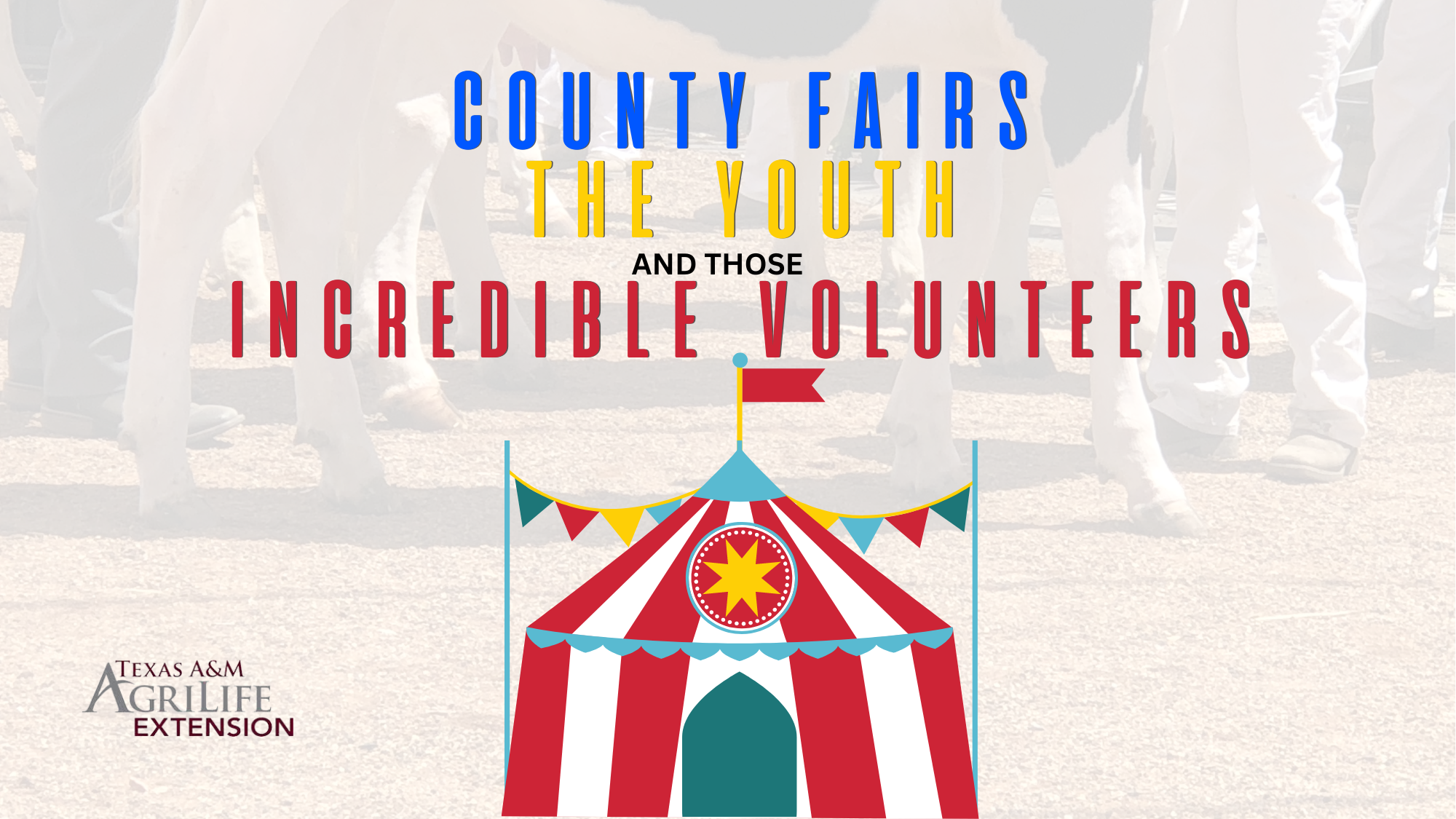 County Fairs, The Youth, and Those Incredible Volunteers - Texas Forest ...