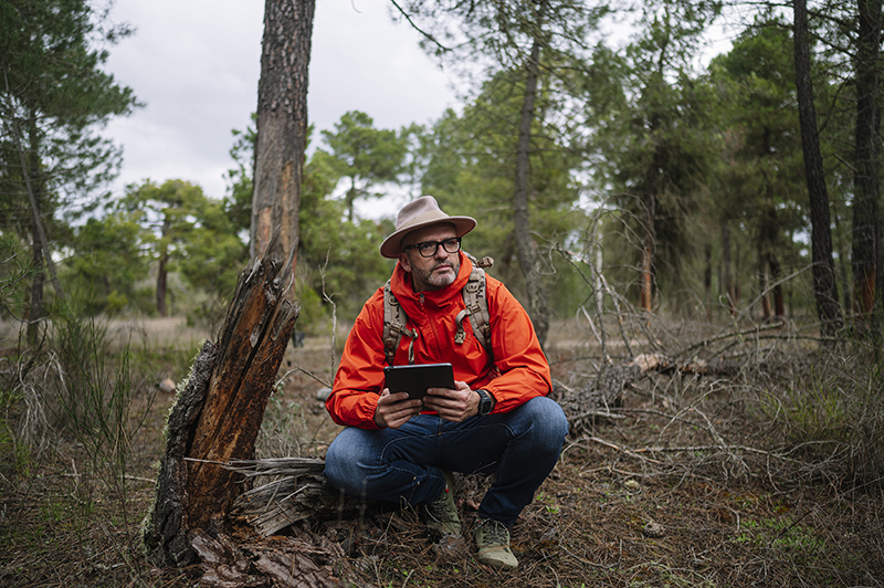 The Value of Consulting Foresters for Landowners in Texas Forest ...