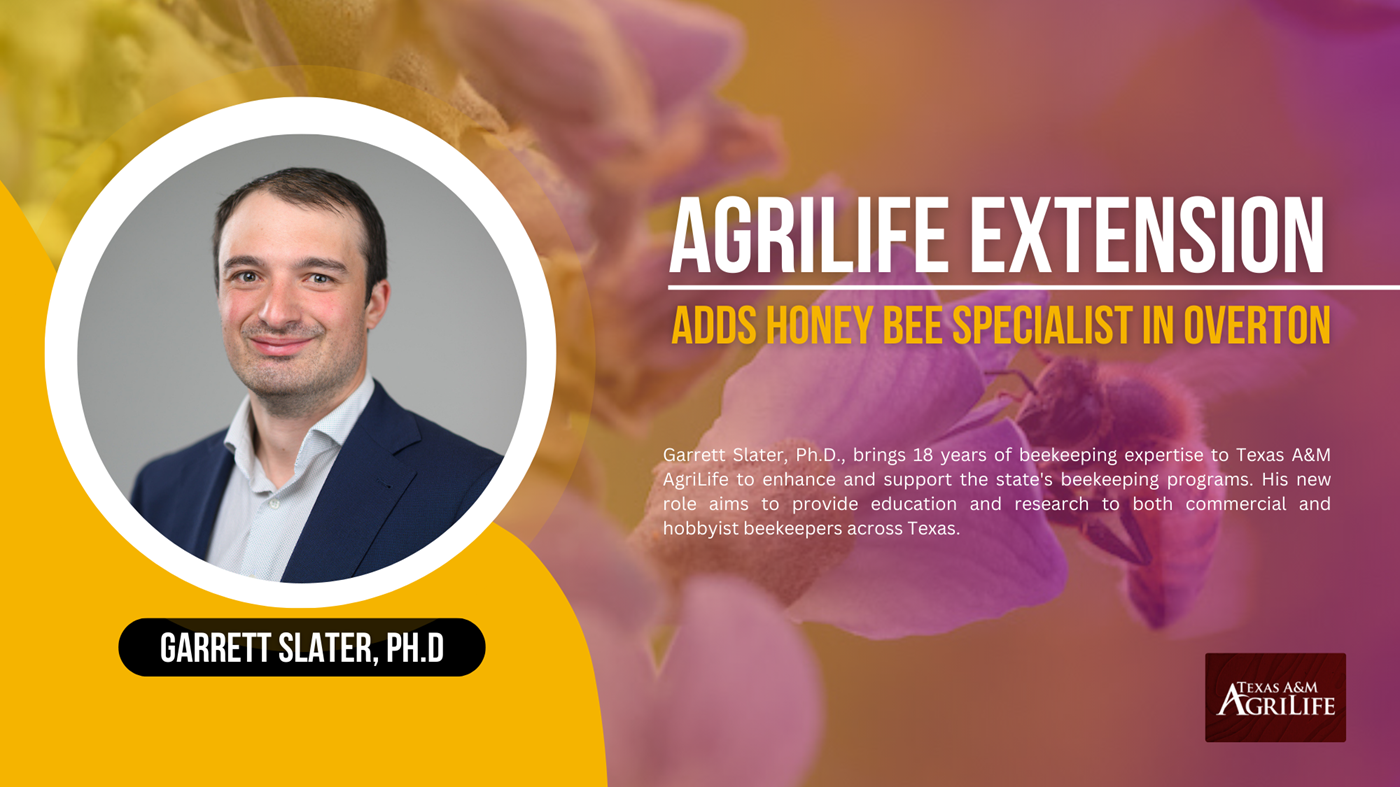 AgriLife Extension Adds Honey Bee Specialist in Overton - Texas Forest ...