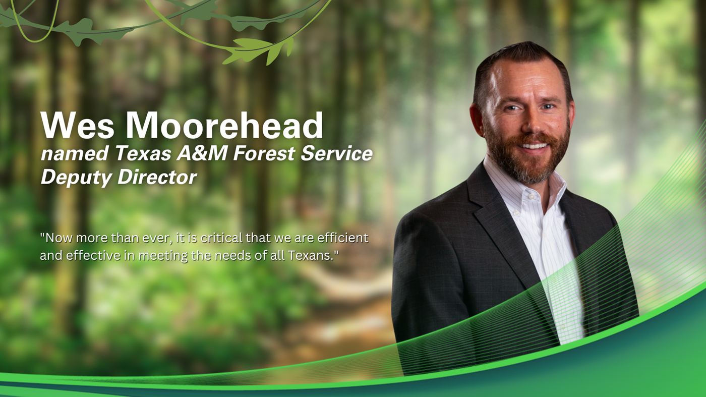 Wes Moorehead named Texas A&M Forest Service Deputy Director - Texas ...